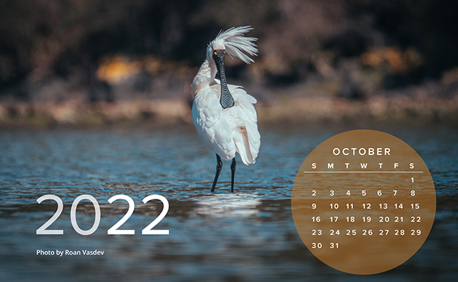 October 2022 Digital Calendar | University of Otago
