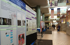 Postgraduate posters showcase breadth of research | University of Otago