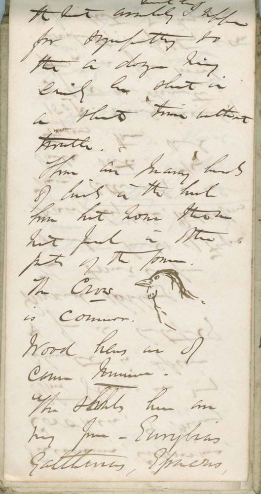 Hector's Map , James Hector, University of Otago Library, Dunedin, New ...