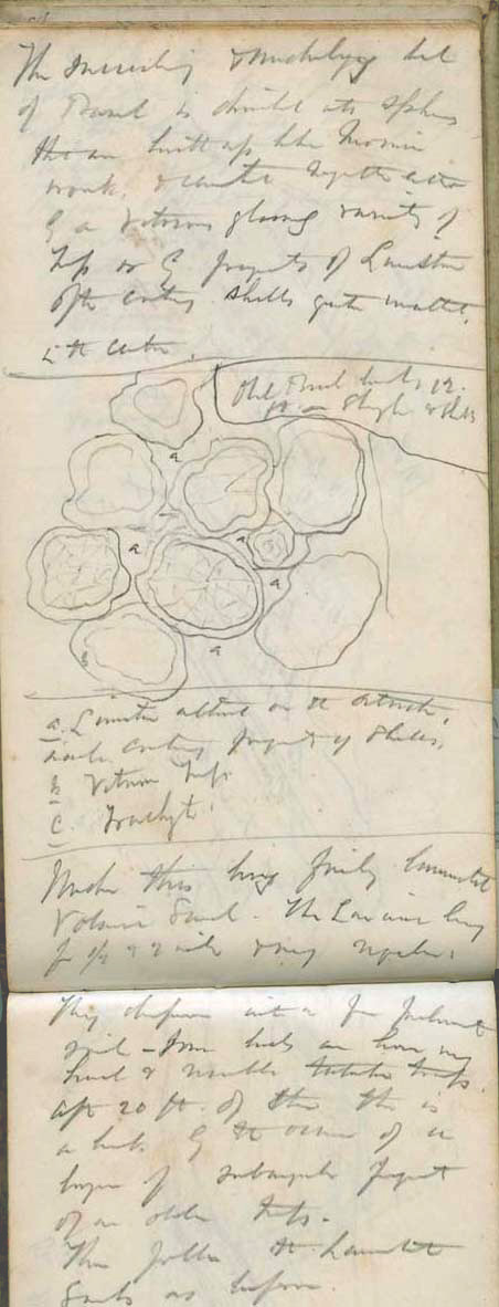 Hector's Map , James Hector, University of Otago Library, Dunedin, New ...