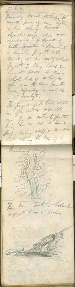 Hector's Map , James Hector, University of Otago Library, Dunedin, New ...