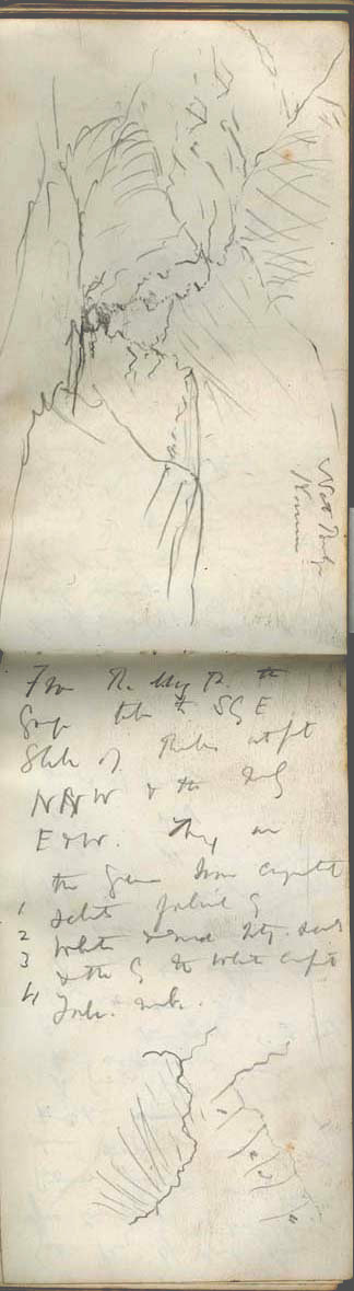 Hector's Map , James Hector, University of Otago Library, Dunedin, New ...